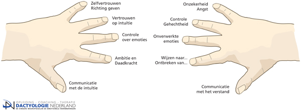De vingers bevatten je oude emoties